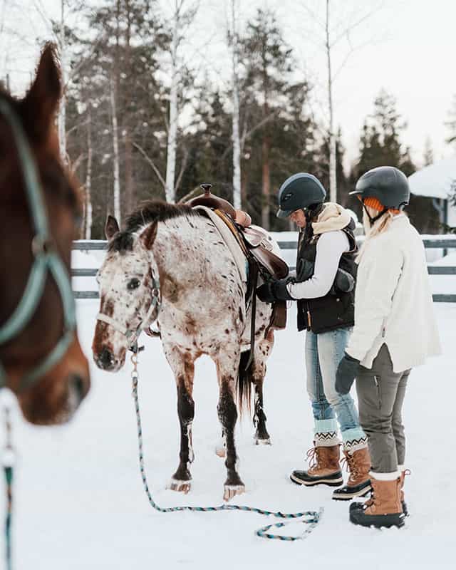 Lucky Ranch | Experience unique accommodation & activities in Finnish ...